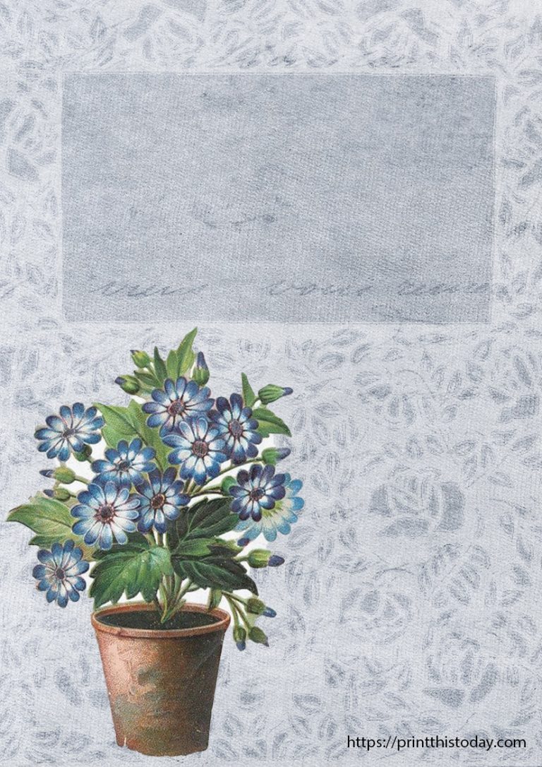 Free Printable Shabby Chic Journal Stationery Pages